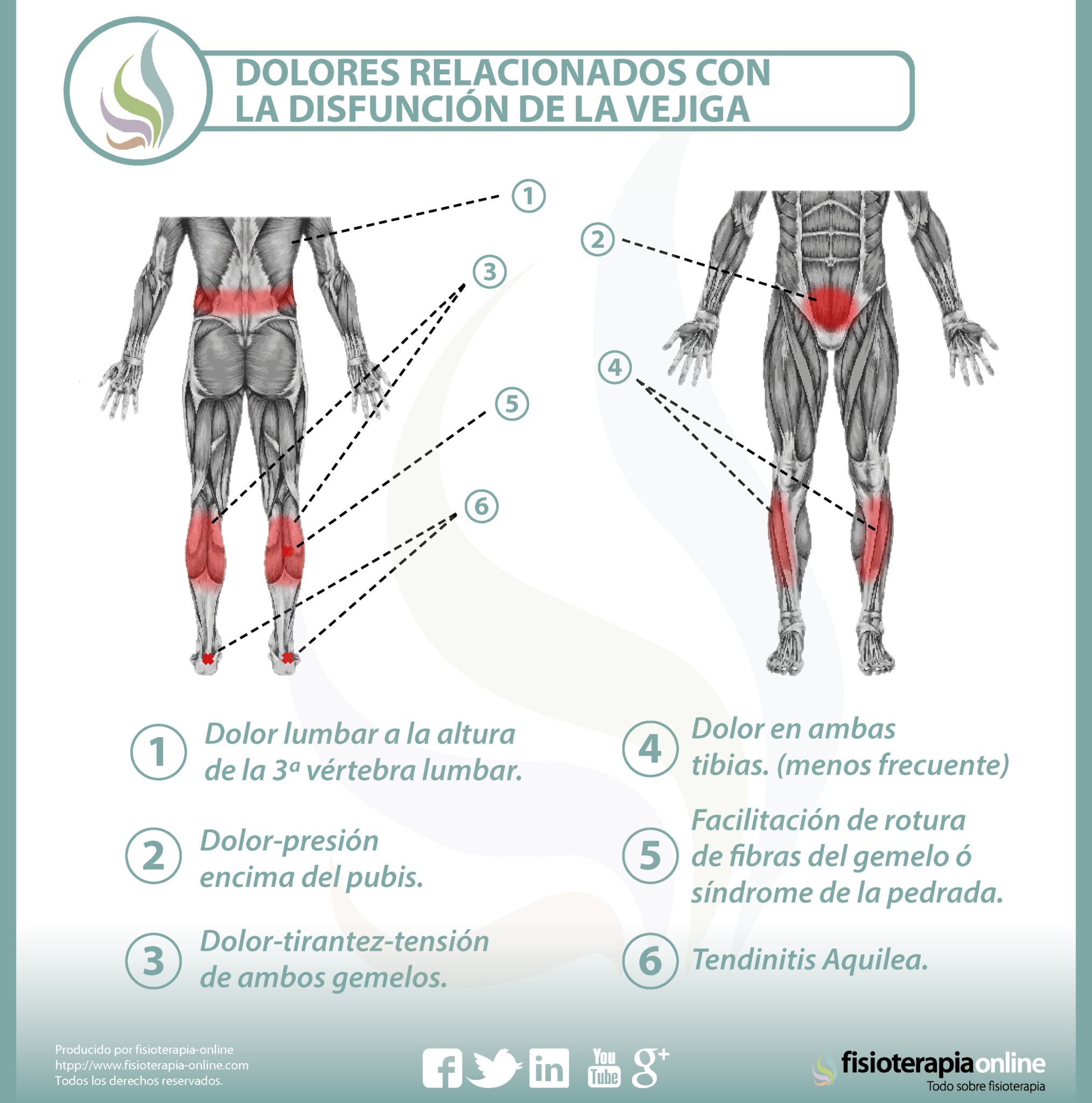 Infección de orina y dolor de piernas - Normalweb.es
